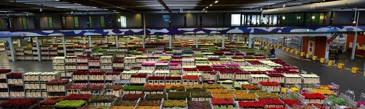 Beruf Lagerist/in (Fachlagerist/in) - Aufgaben & Tätigkeiten im ...